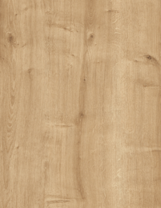 AMERICAN OAK – WOODGRAIN TEXTURE – D Builder Store